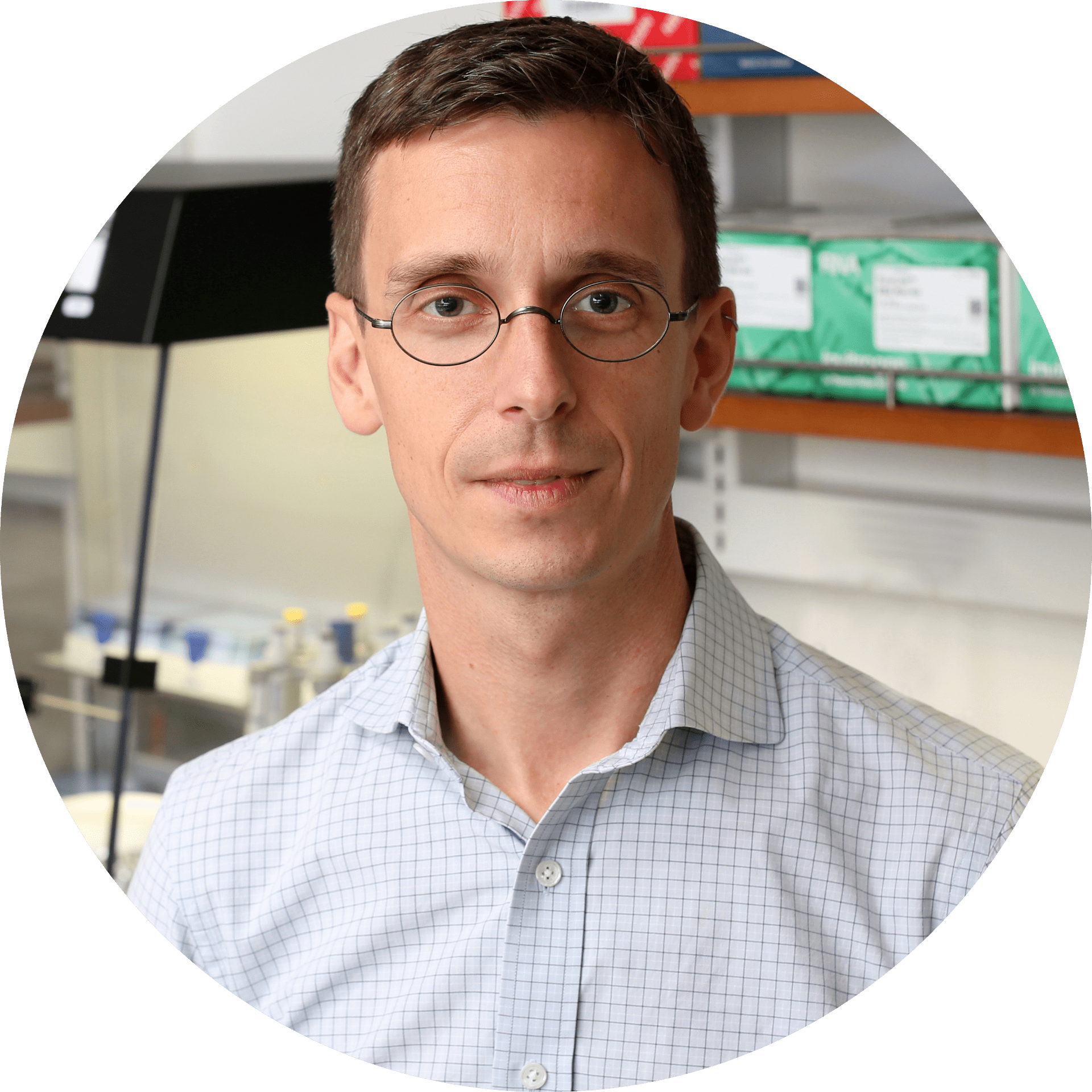 Immunology | Cornell Center for Immunology